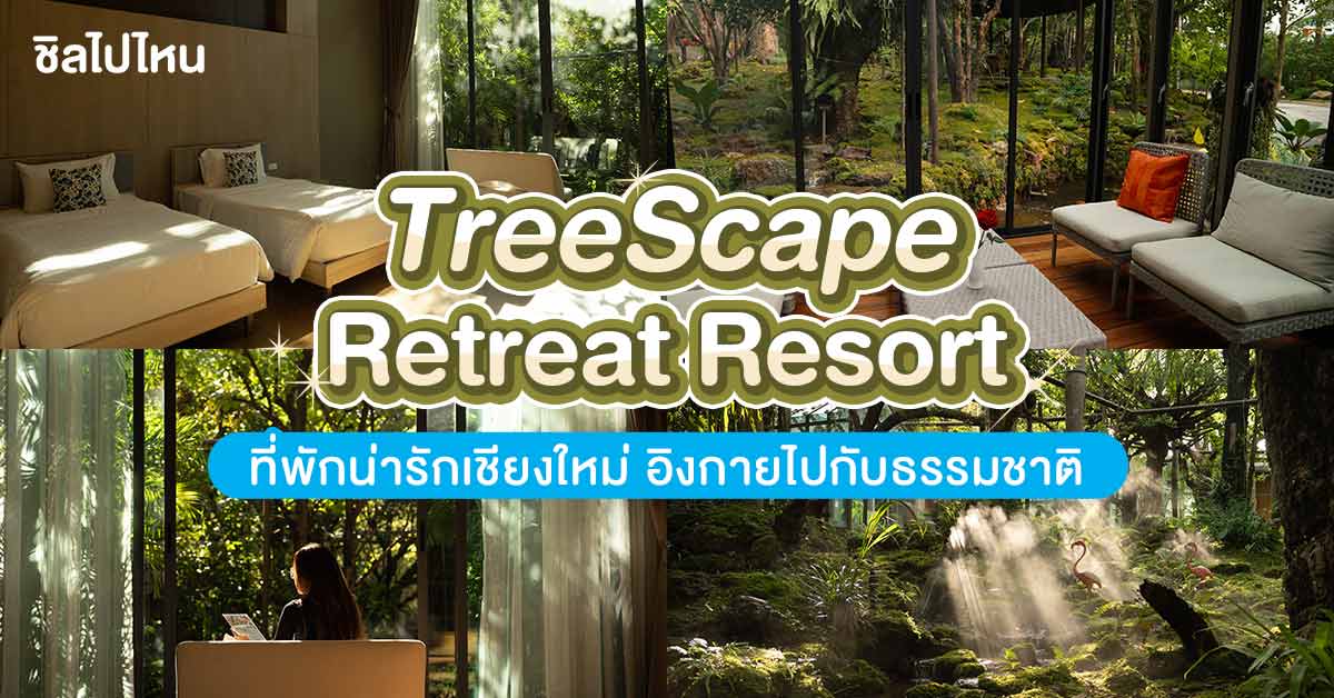 Treescape Retreat Resort เชียงใหม่ ที่พักน่ารักเชียงใหม่ อิงกายไปกับ ...