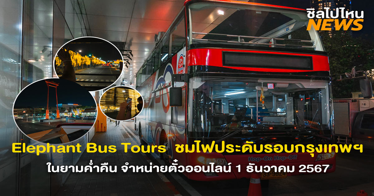 Elephant Bus Tours ชมไฟประดับรอบกรุงเทพฯ ในยามค่ำคืน จำหน่ายตั๋วออนไลน์ ...